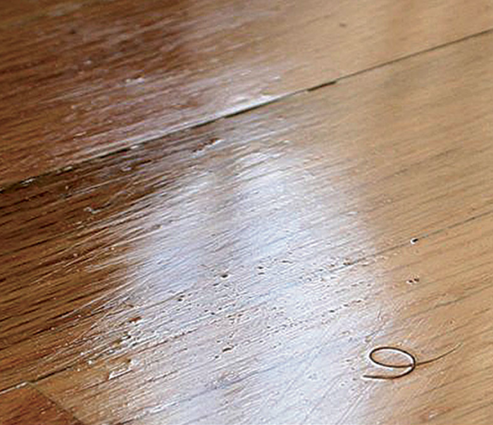 Solve Wood-Flooring Problems - Fine Homebuilding