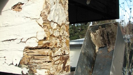If You Cover Up Rot, It Goes Away . . . Right? - Fine Homebuilding