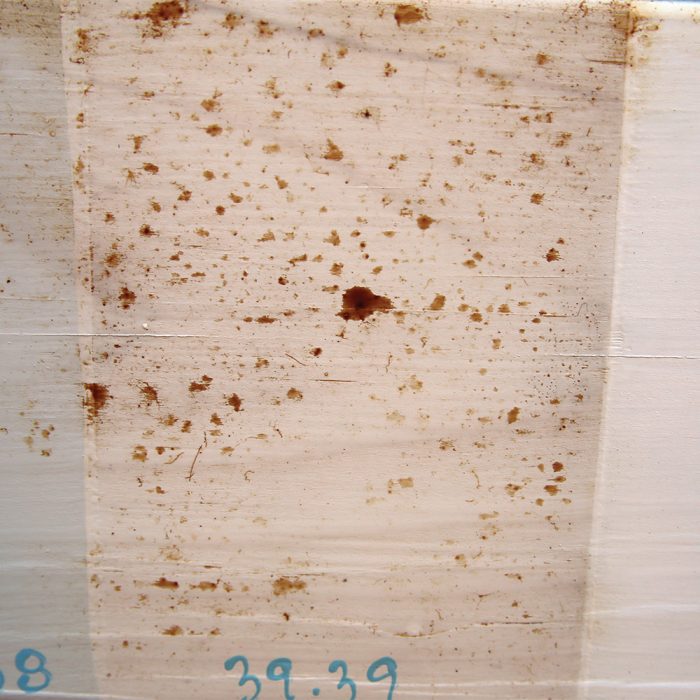 Paint Problems and How to Prevent Them - Fine Homebuilding