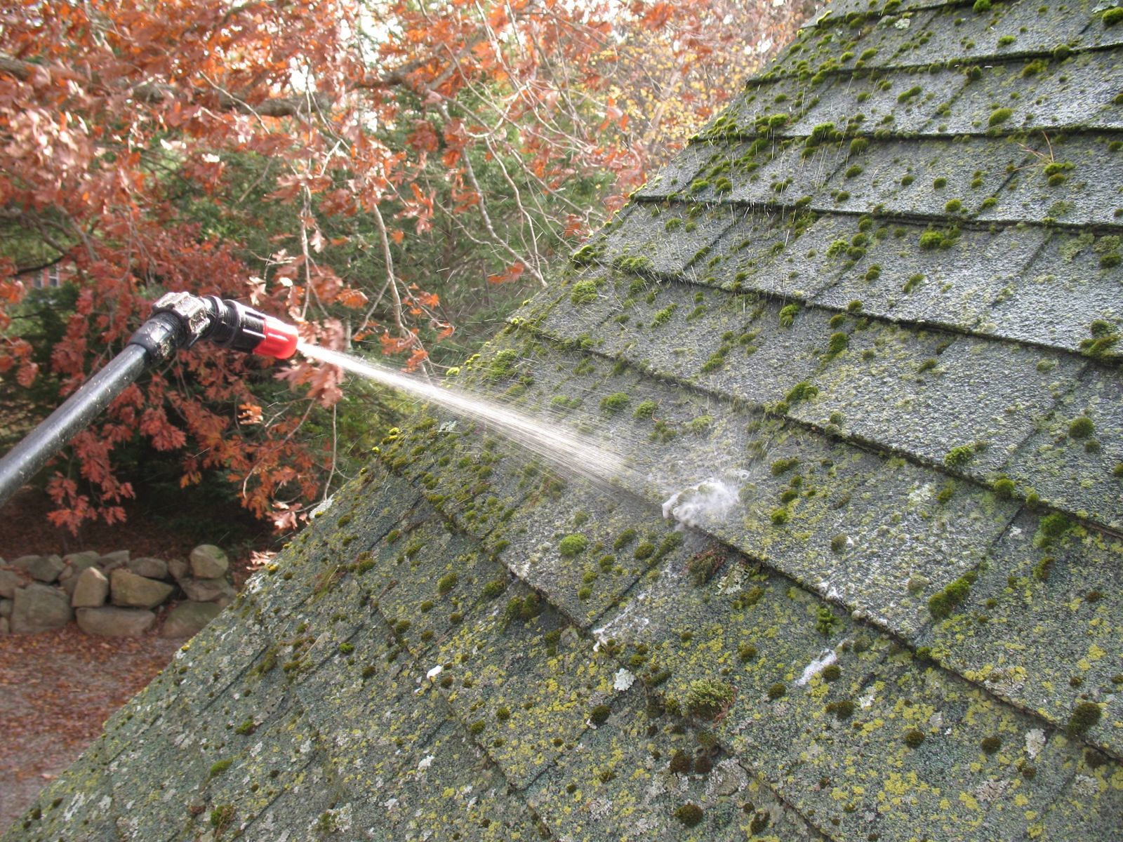 How to Remove Lichen and Moss from Your Roof - Fine Homebuilding