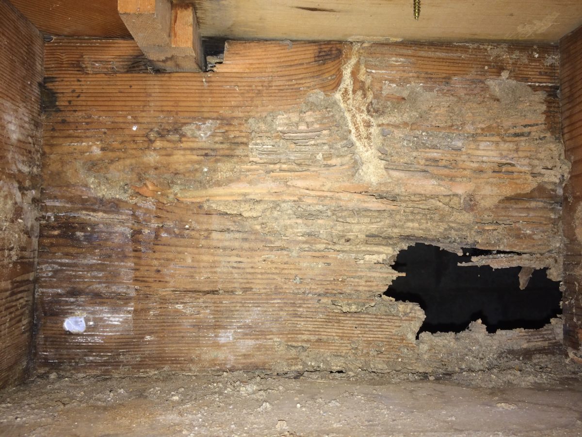 Podcast Episode 129 – Don't Be a Heat Freak - Fine Homebuilding
