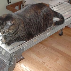 Best way to cut Hardibacker Board - Fine Homebuilding