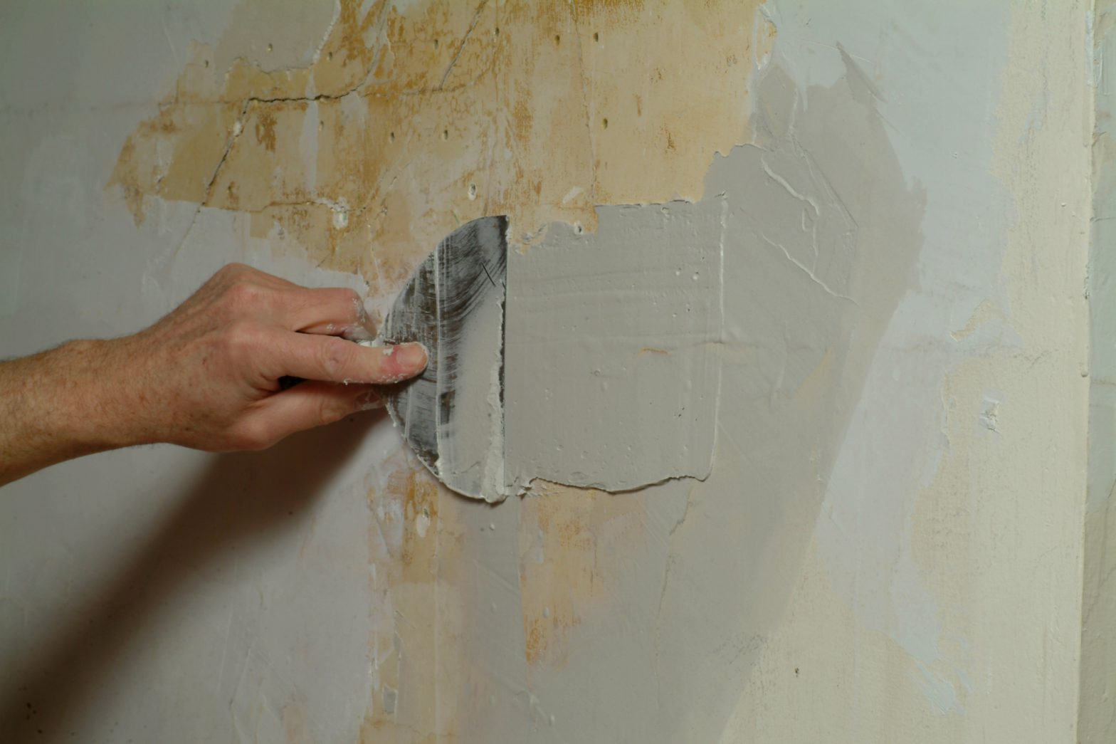 Plaster Magic - Old House Journal Products & Services Directory - Fine ...