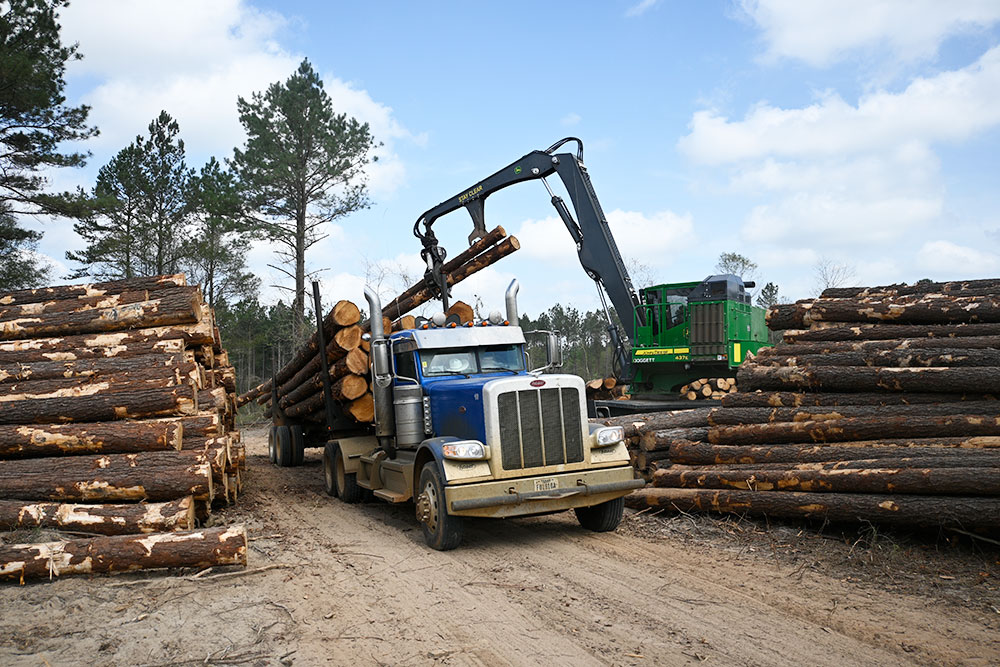 How Lumber is Produced - Fine Homebuilding