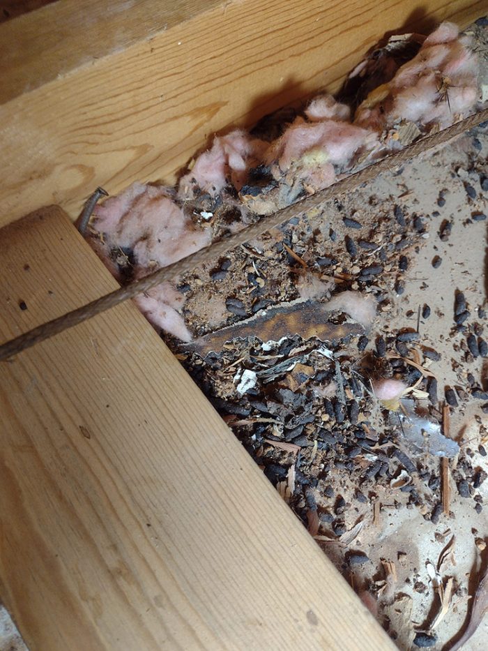 Podcast 613: Soil Against Stucco, Finding the Right Build Team, and ...