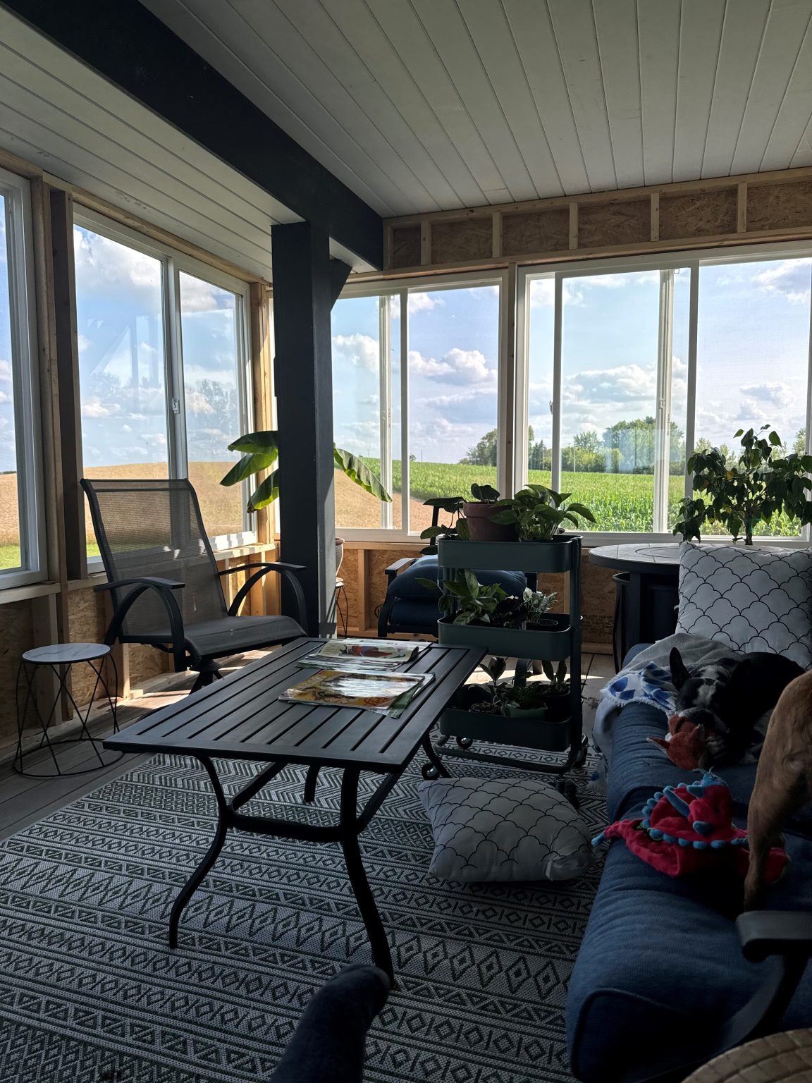 Black Windows, Suspect Chimneys, and Rot Worries - Fine Homebuilding