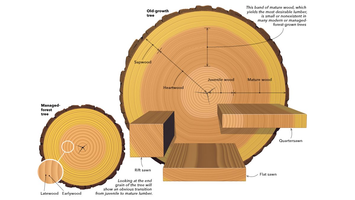 Old-Growth Lumber Explained by an Historic Restoration Specialist ...